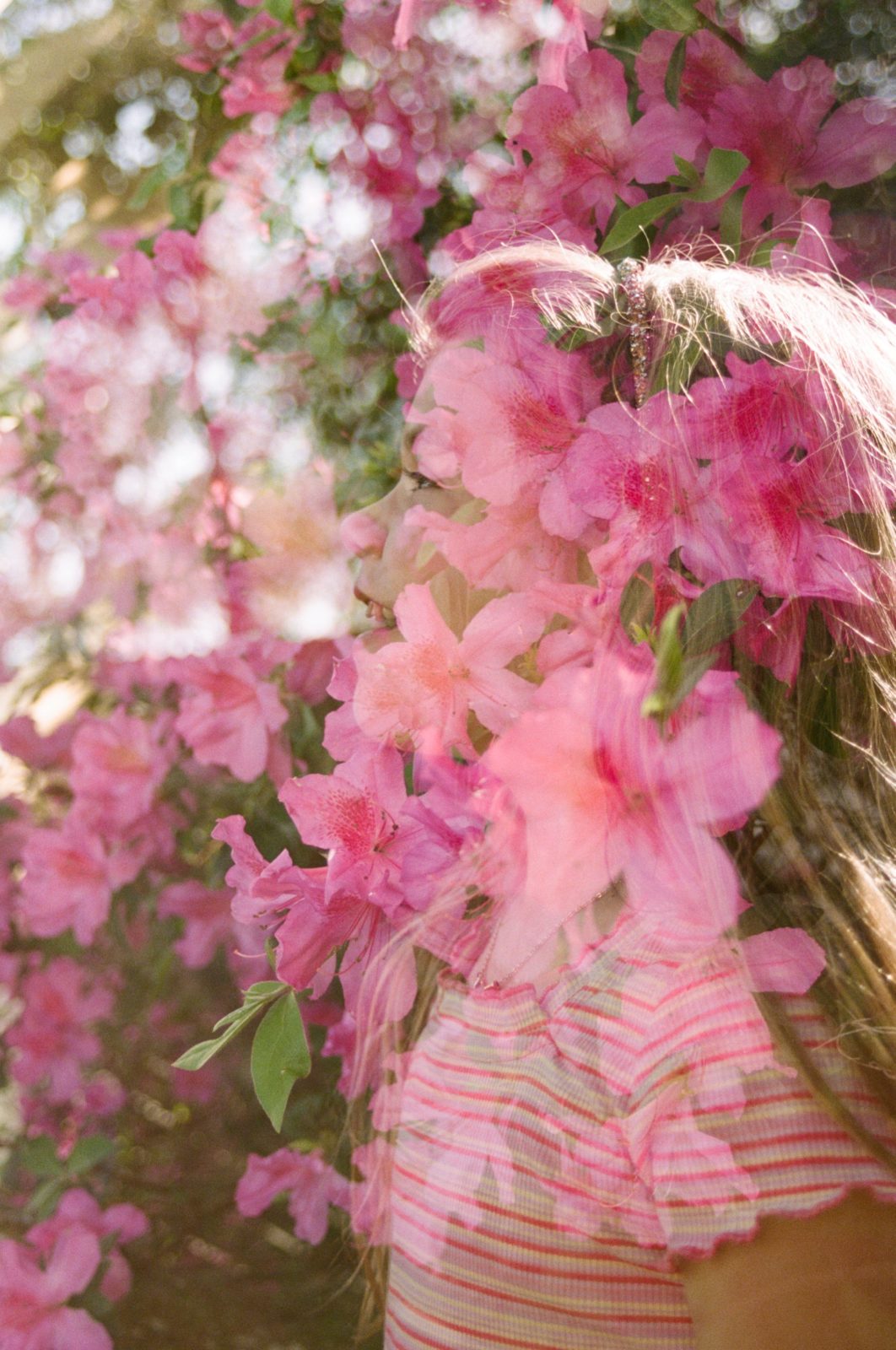 How To Photograph Double Exposures on Film - Everence Photography